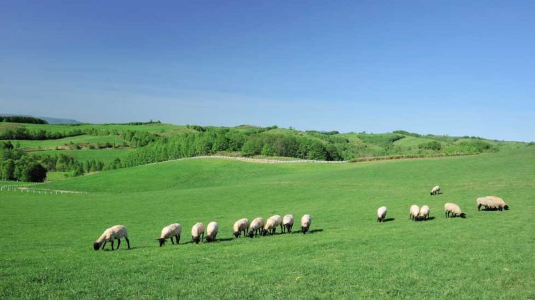 北海道には「もんべつ」という地名が3ヶ所もある？！その語源・由来とは？ | pikule.（ピクル）北海道ローカル情報Webマガジン
