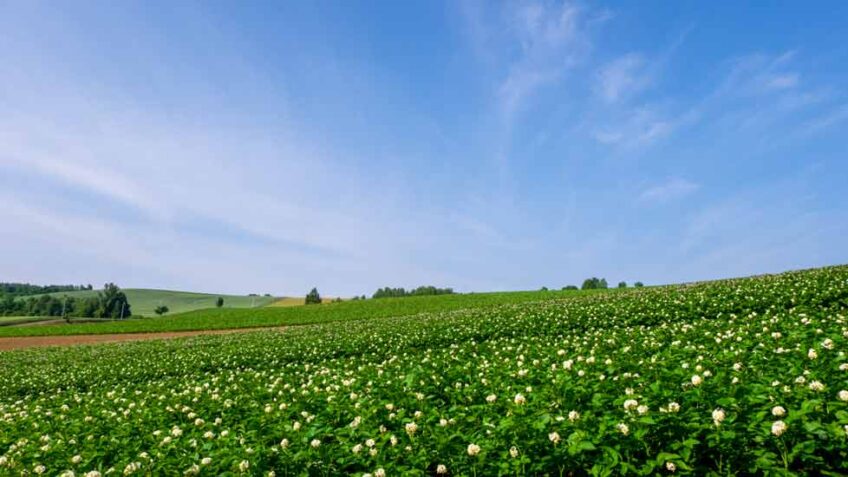 北海道には「しべつ」という地名が2ヶ所ある？！その語源・由来とは？ | pikule.（ピクル）北海道ローカル情報Webマガジン